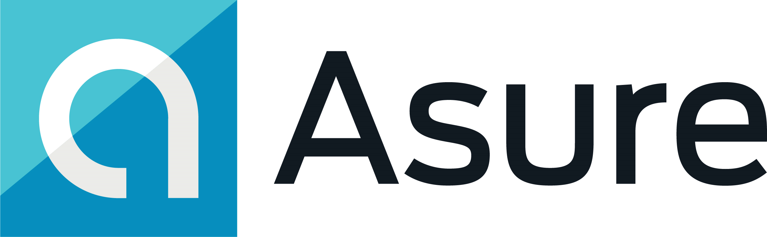 Asure Time & Attendance Version 12.4 - User Login